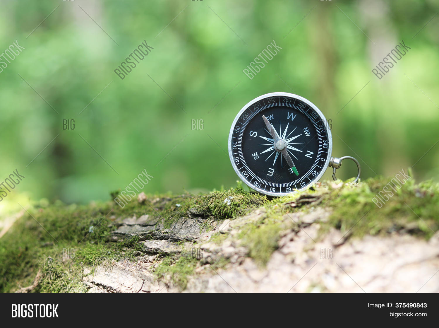 Round Compass On Image And Photo Free Trial Bigstock