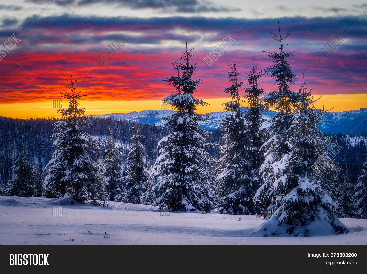 Winter Colorful Sunset Image & Photo (Free Trial) | Bigstock