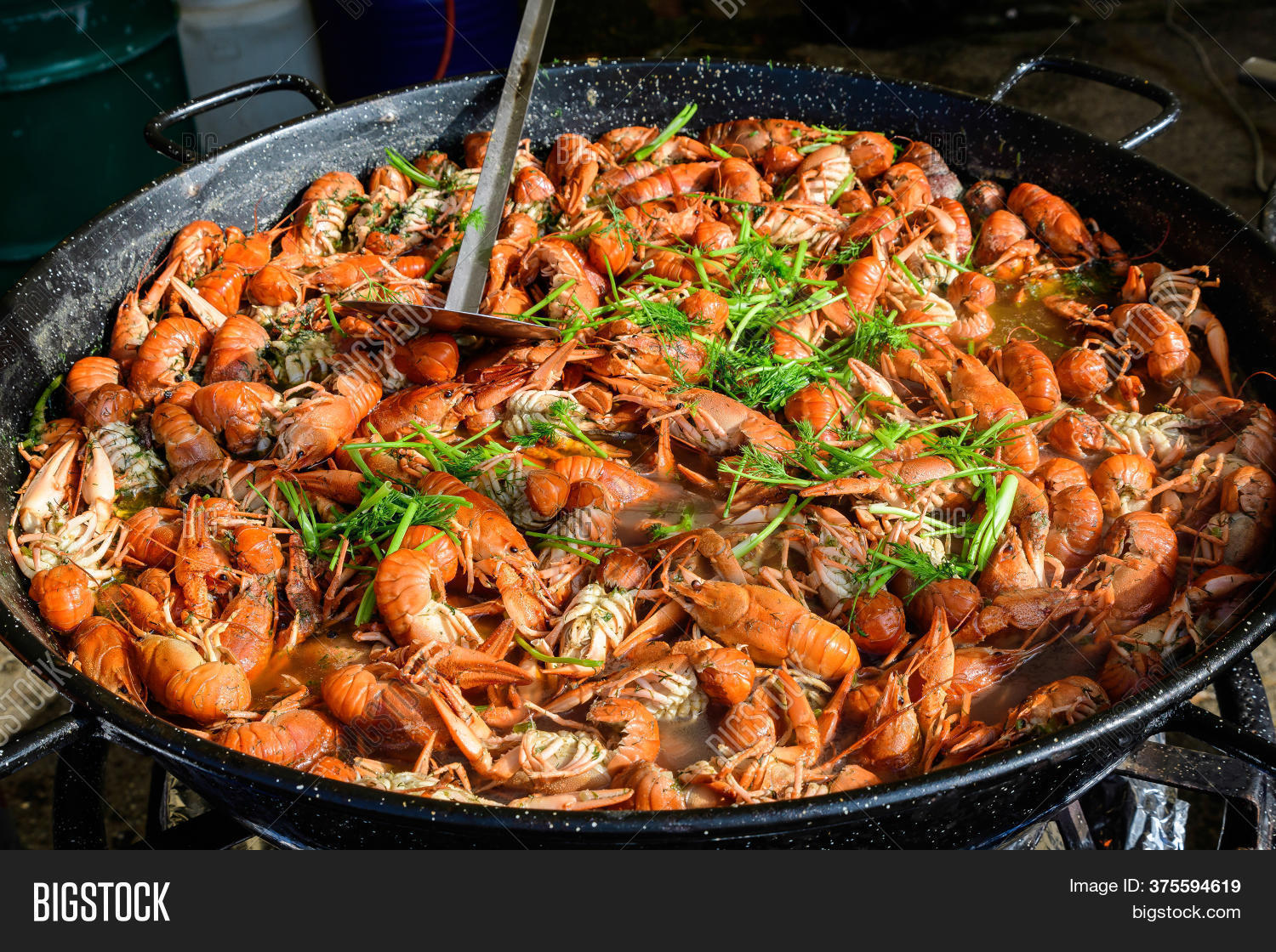 European Crayfishes Image & Photo (Free Trial) | Bigstock