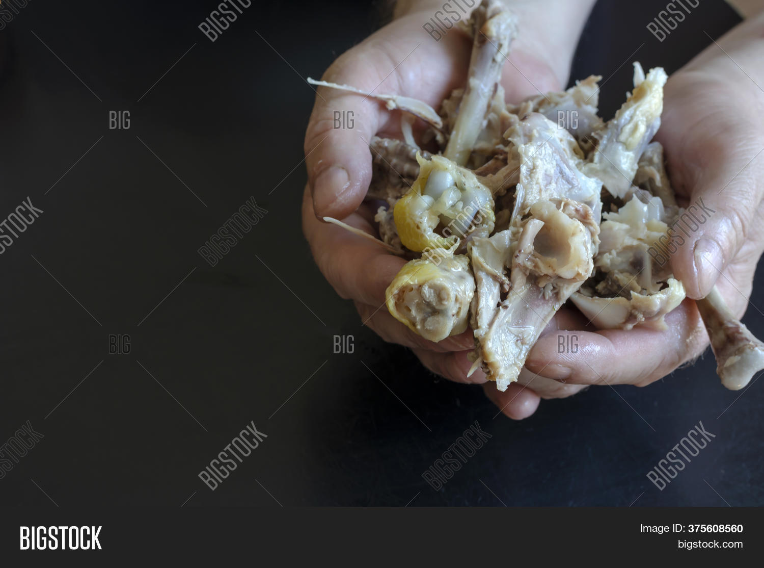 Boiled Chicken Bones Image & Photo (Free Trial) | Bigstock