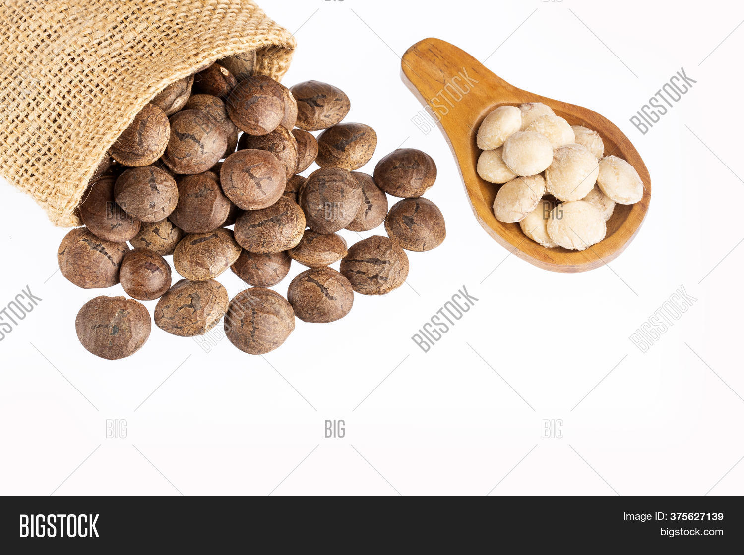 Sacha Inchi - Image & Photo (Free Trial) | Bigstock