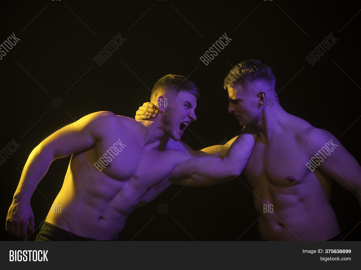 Twins Men Muscular Image & Photo (Free Trial) | Bigstock