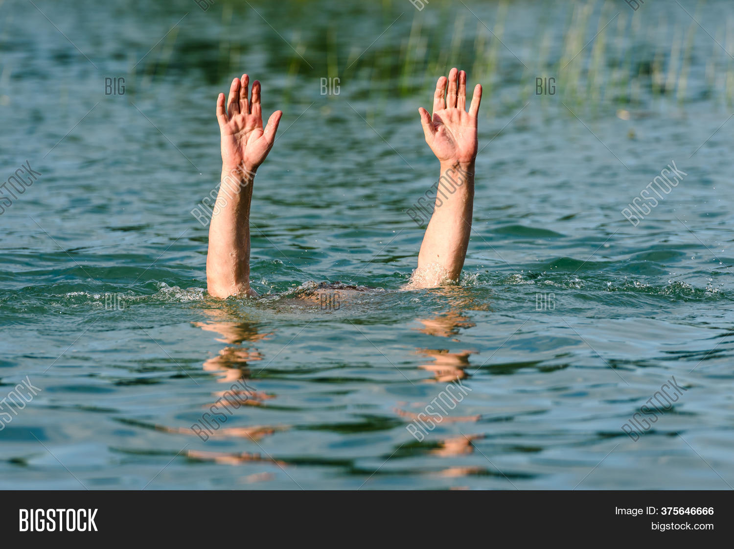 Hands Stick Out Water Image & Photo (Free Trial) | Bigstock