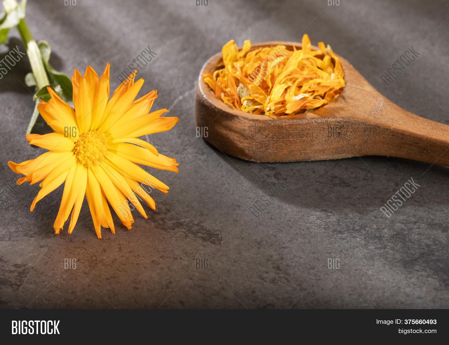 Dried Calendula Image & Photo (Free Trial) | Bigstock
