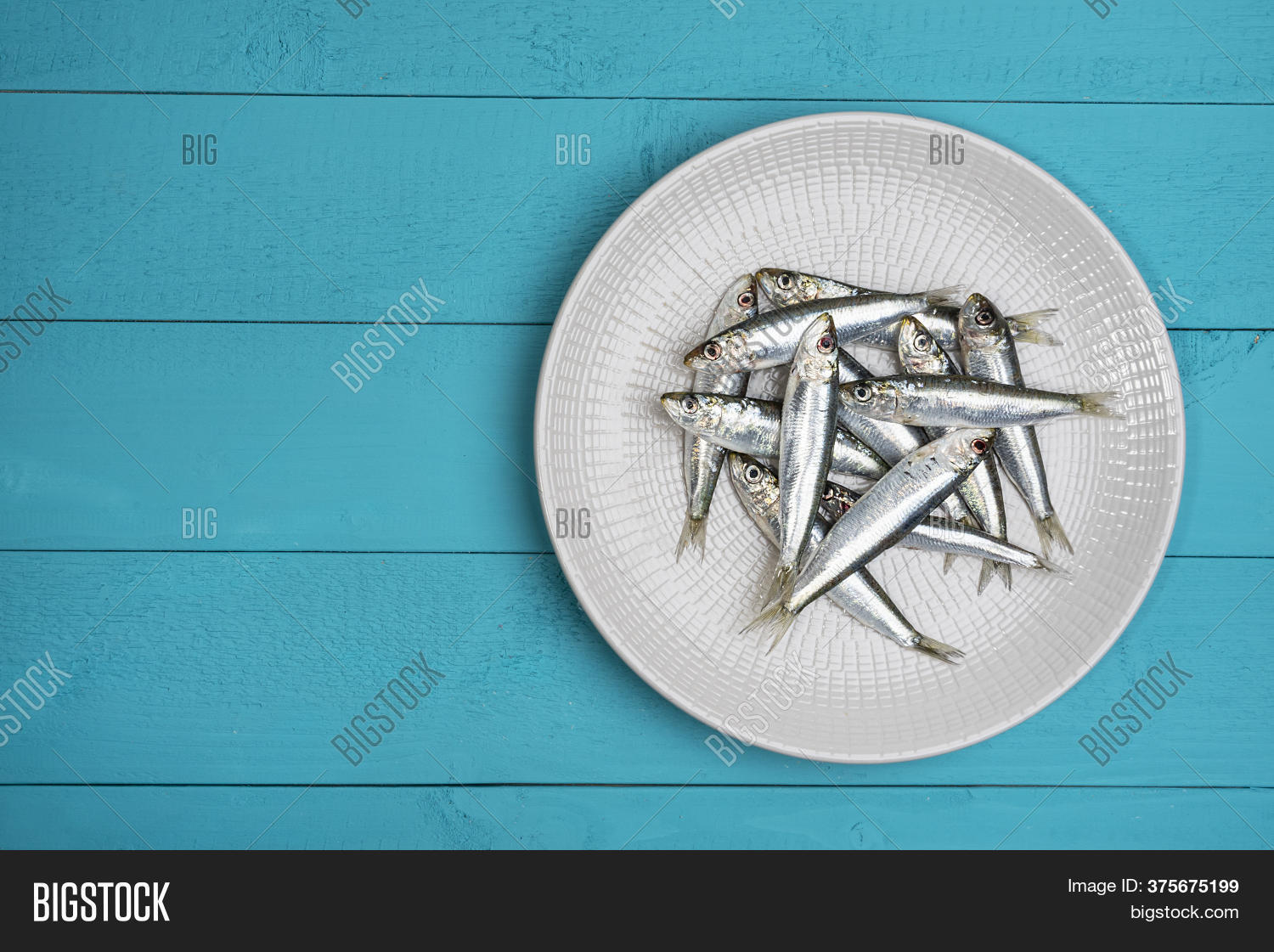 Some Sardines Arranged Image & Photo (Free Trial) | Bigstock