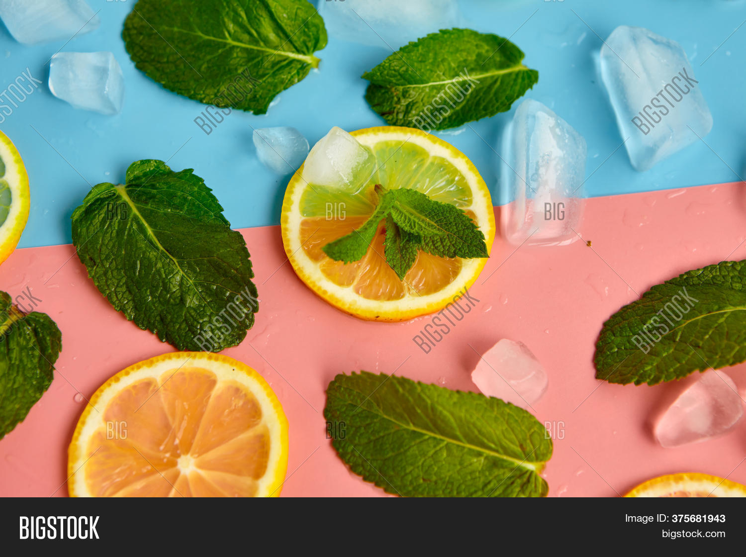 Composition Cut Citrus Image & Photo (Free Trial) | Bigstock
