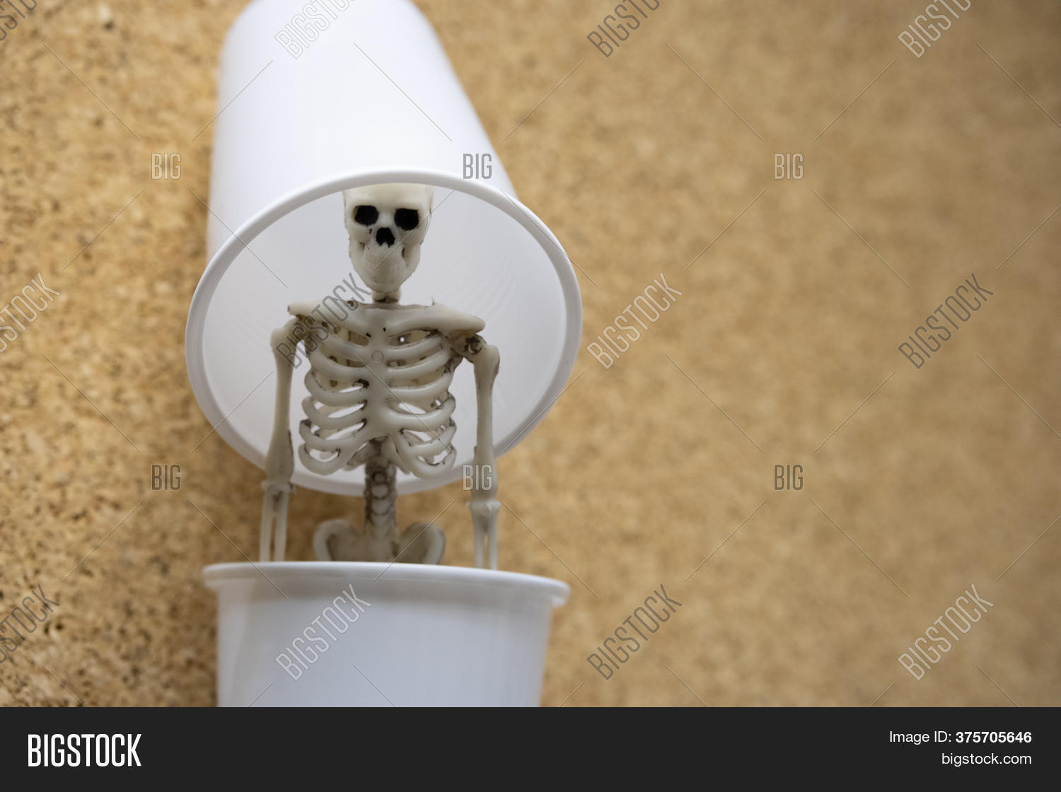 Skeleton Hidden Image & Photo (Free Trial) | Bigstock