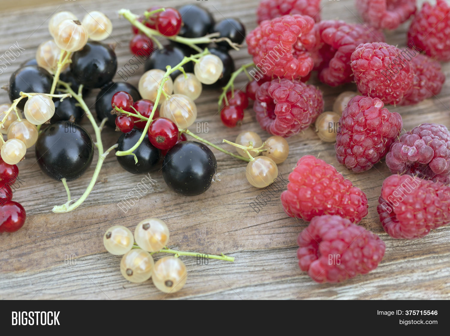 Berry Fruits Like Image & Photo (Free Trial) | Bigstock