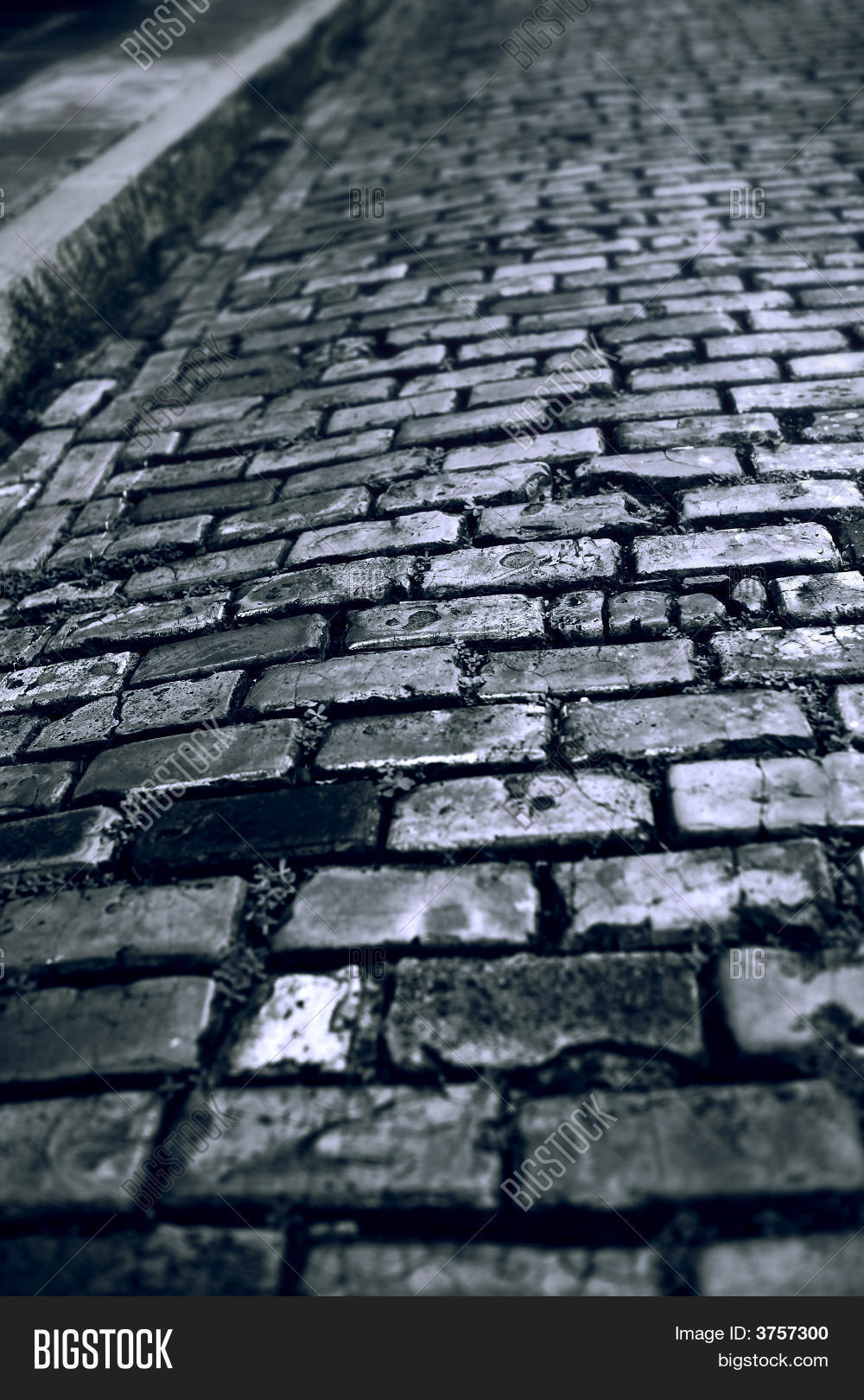 Blue Brick Paving Image & Photo (Free Trial) | Bigstock