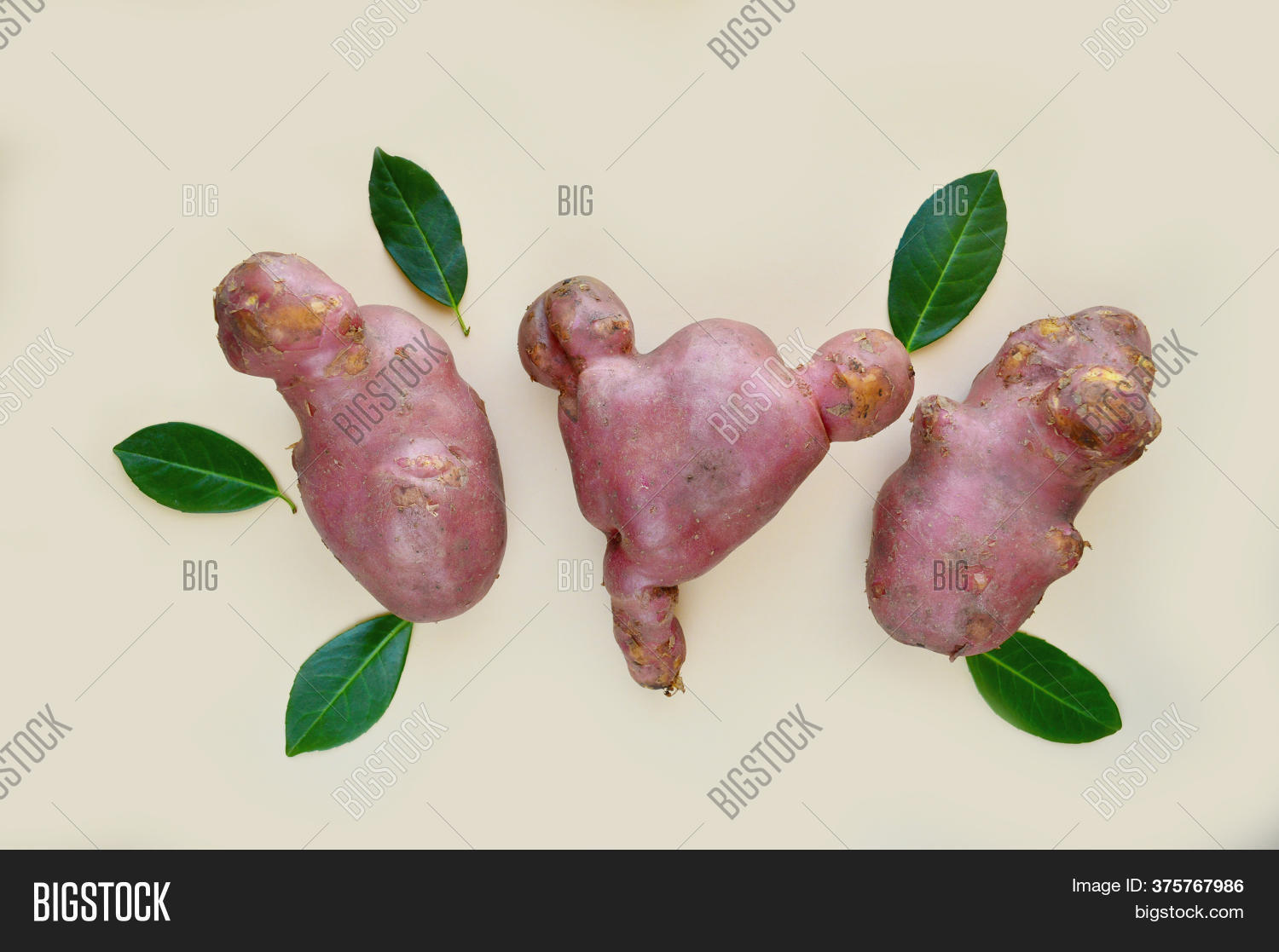 Ugly Potatoes. Non- Image & Photo (Free Trial) | Bigstock