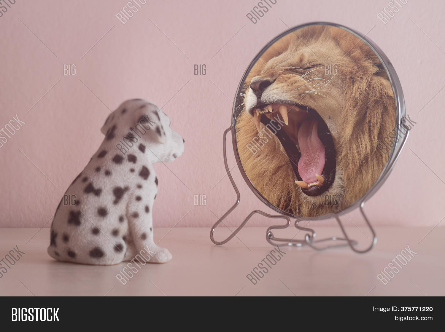Cute Little Dog Looks Image & Photo (Free Trial) | Bigstock