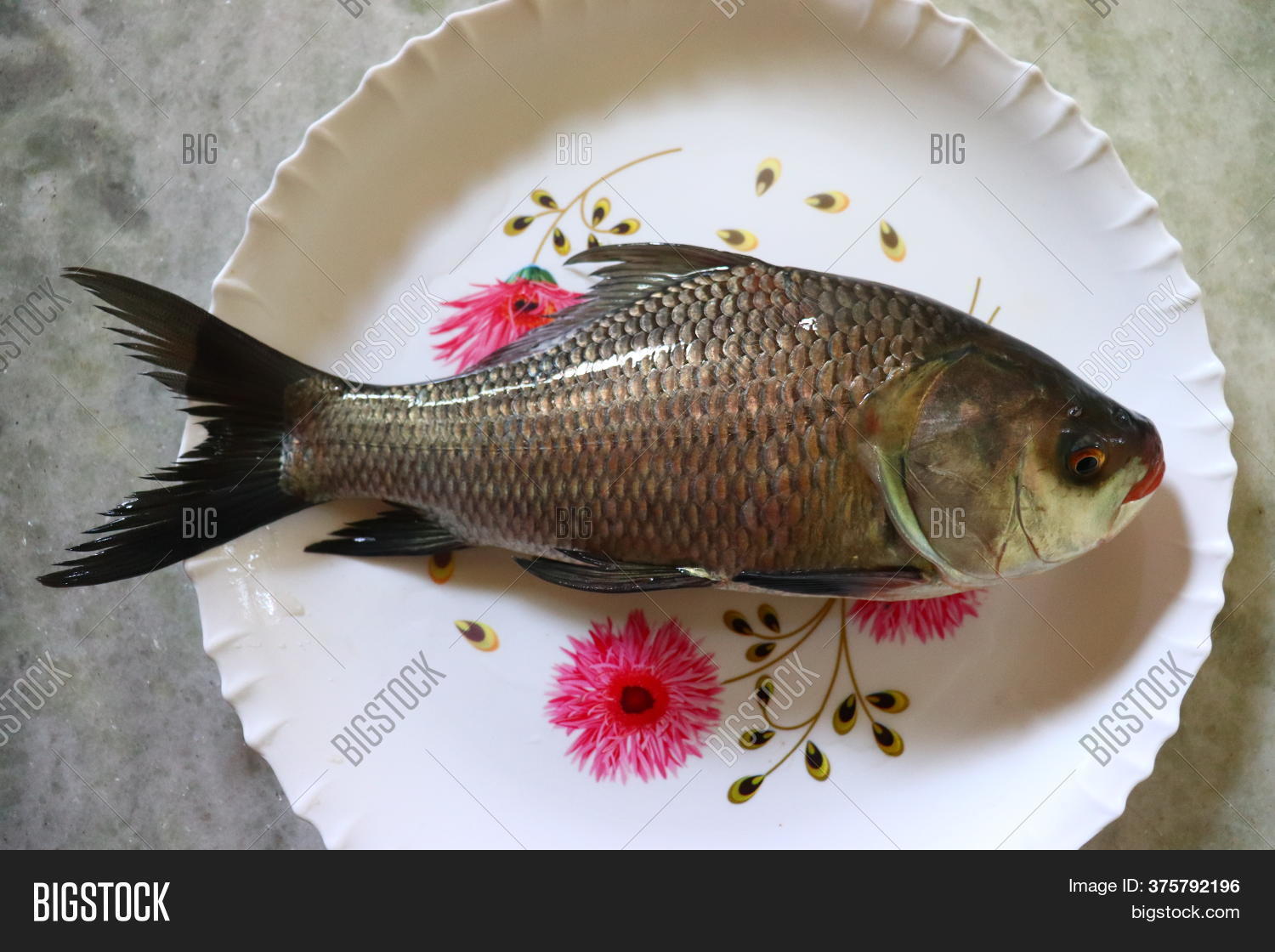 Indian Delicious Fish Image & Photo (Free Trial) | Bigstock