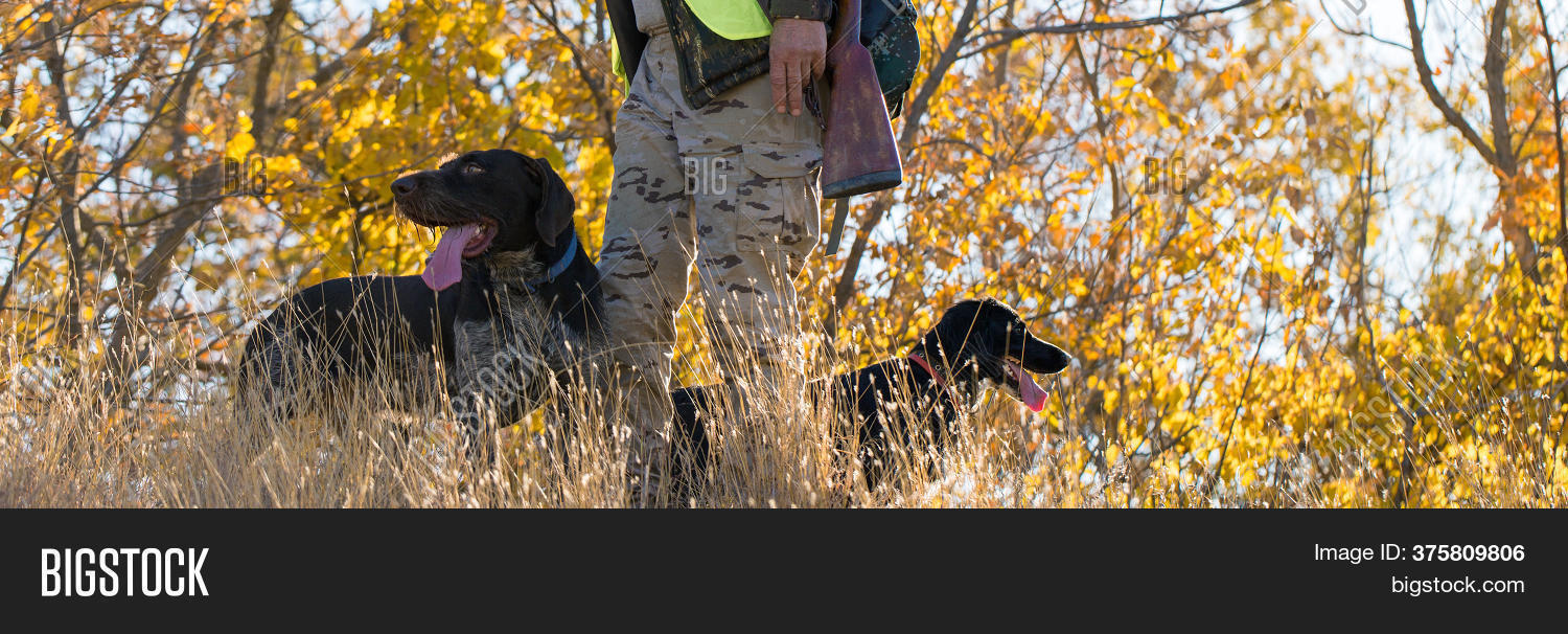 Hunters German Image & Photo (Free Trial) | Bigstock