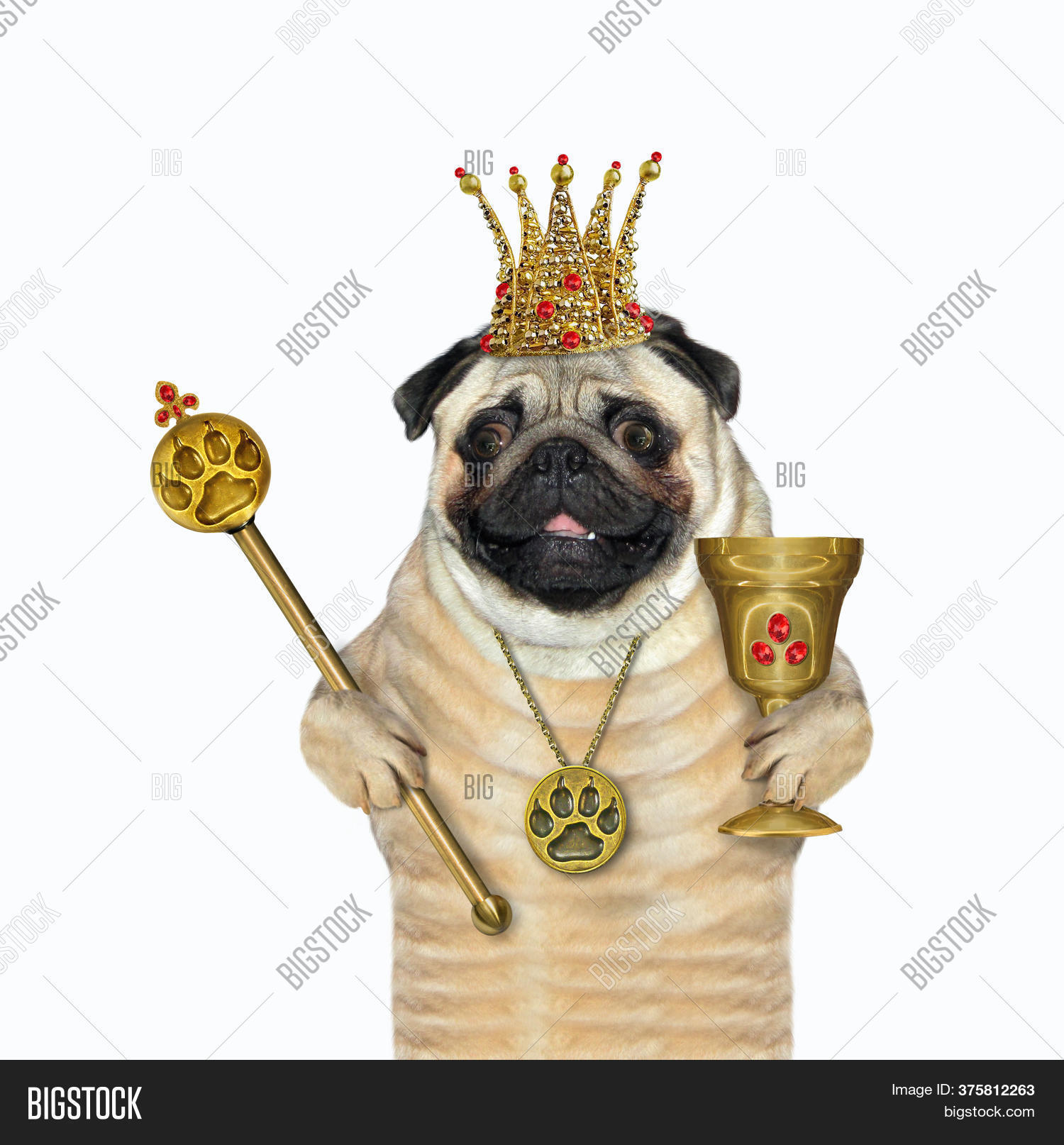 Pug Dog King Crown Image & Photo (Free Trial) | Bigstock