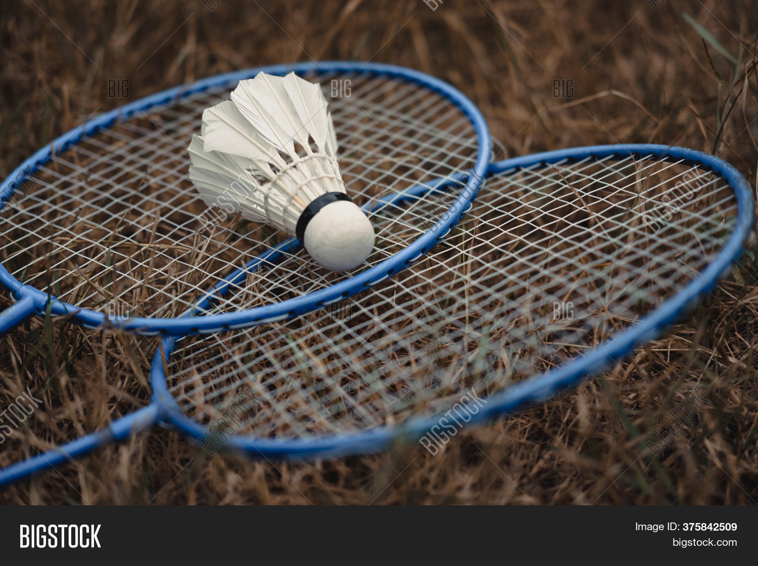 Metal Badminton Image & Photo (Free Trial) | Bigstock