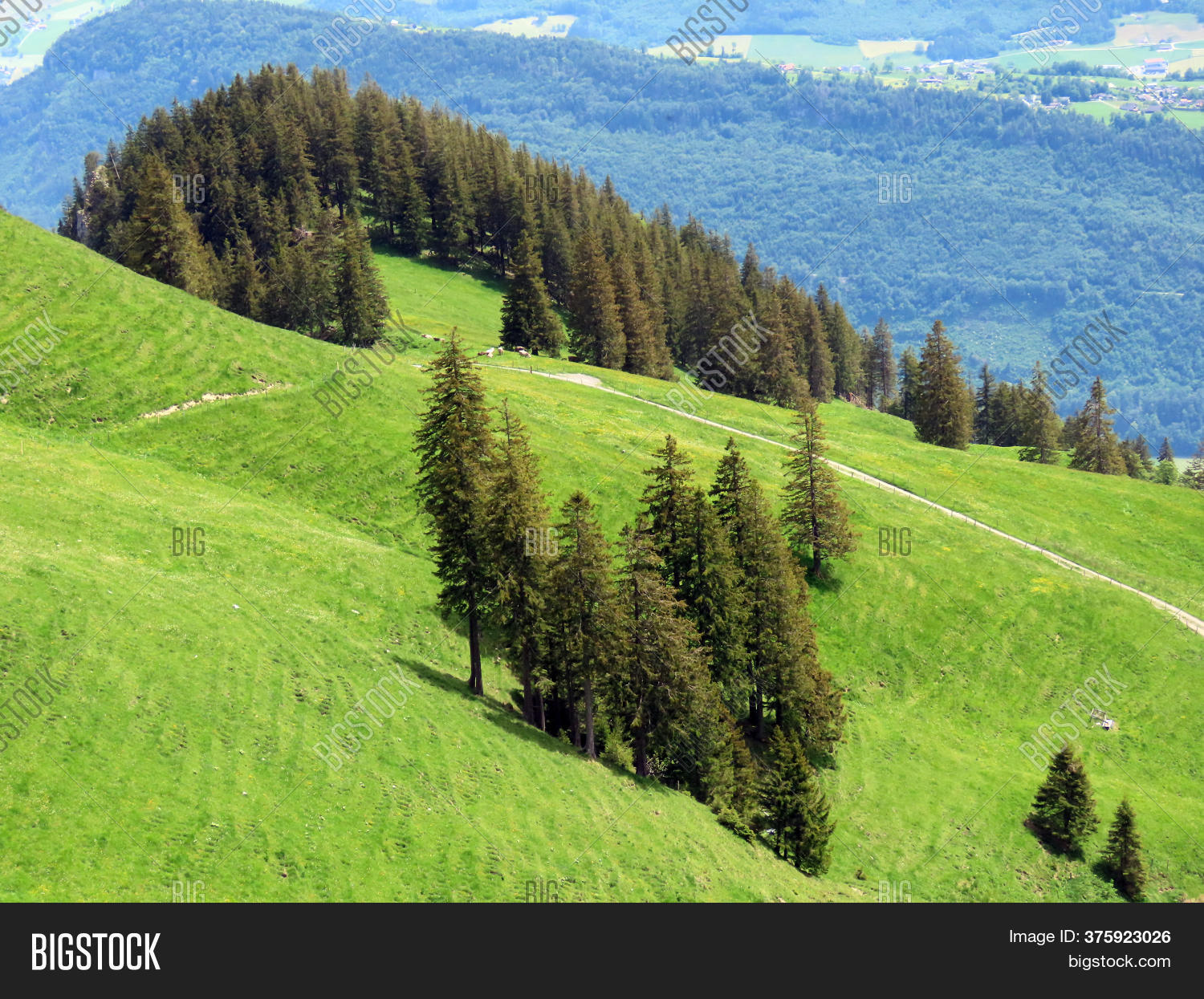 Alpine Pastures Image & Photo (Free Trial) | Bigstock