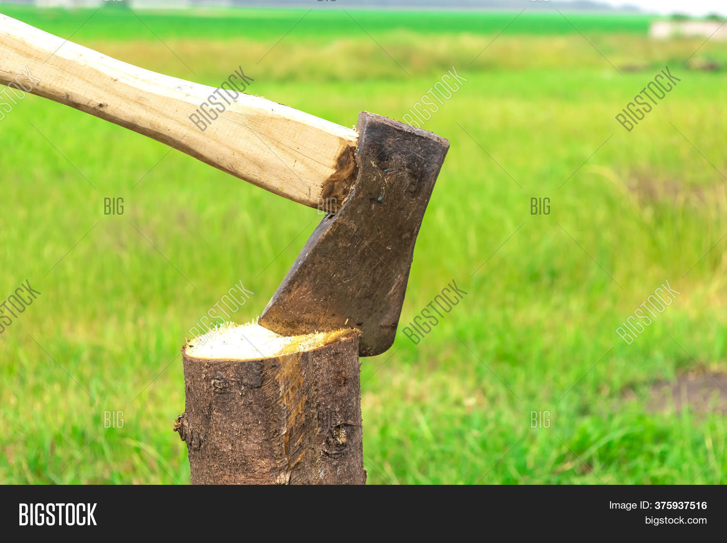 Wood Chopper Sticks Image & Photo (Free Trial) | Bigstock