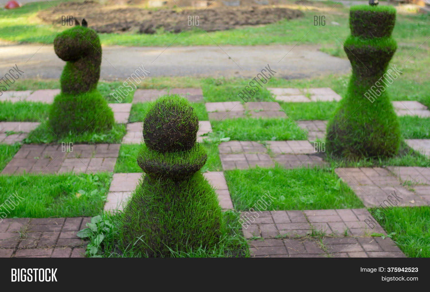 Chess Pieces Made Image & Photo (Free Trial) | Bigstock