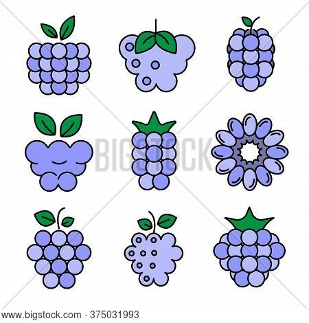 Raspberry Icons Set. Vector & Photo (Free Trial) | Bigstock