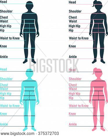 Male Female Size Vector & Photo (Free Trial) | Bigstock