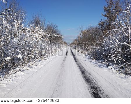 Winter Sunny Day. Image & Photo (Free Trial) | Bigstock