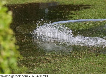 Detail Hose Watering Image & Photo (Free Trial) | Bigstock
