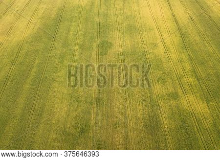 Aerial View Wheat Image & Photo (Free Trial) | Bigstock