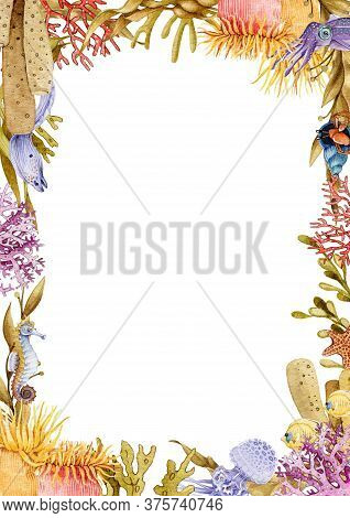 Colorful Coral Reef Image & Photo (Free Trial) | Bigstock