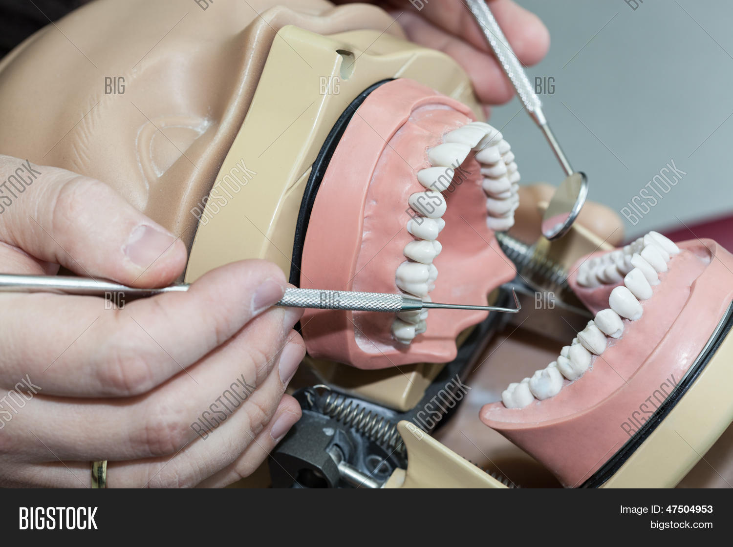 Dentist Work Image & Photo (Free Trial) | Bigstock
