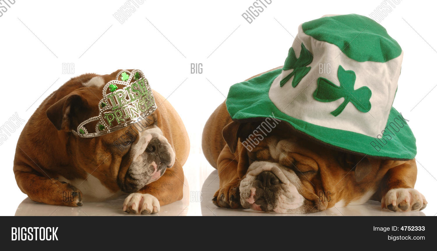 St Patricks Day Image & Photo (Free Trial) | Bigstock