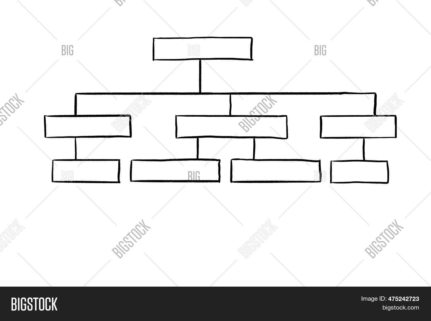 Mind Map. Diagram Image & Photo (Free Trial) | Bigstock