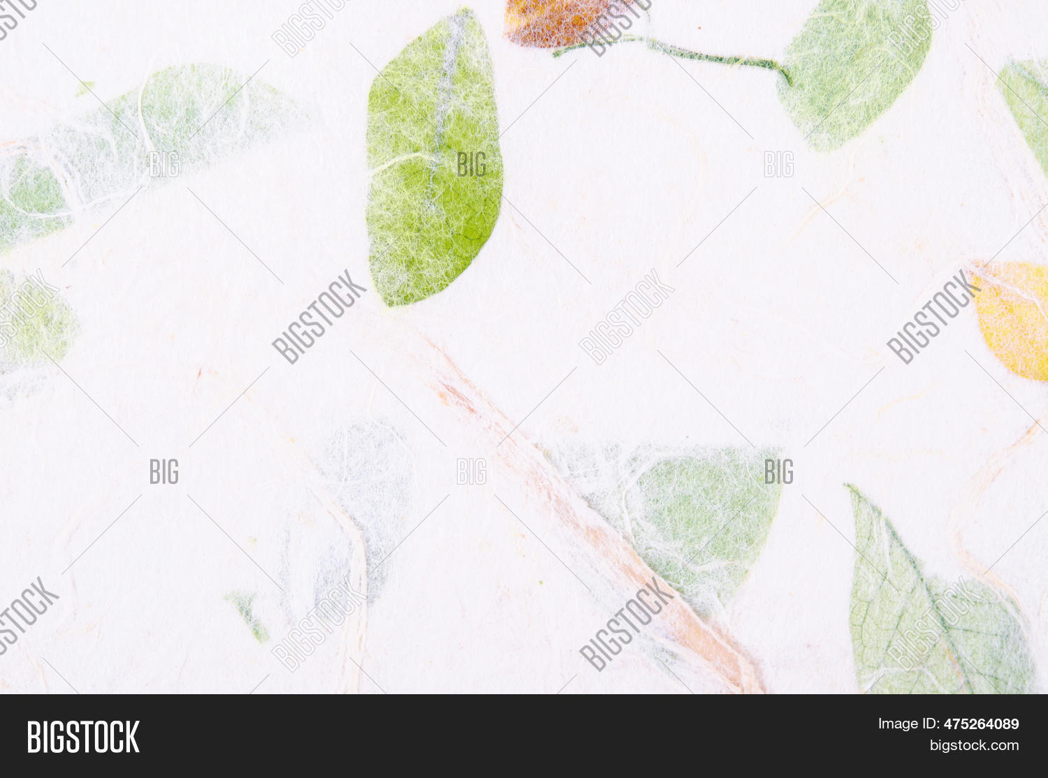 Handmade Recycled Leaf Image & Photo (Free Trial) | Bigstock