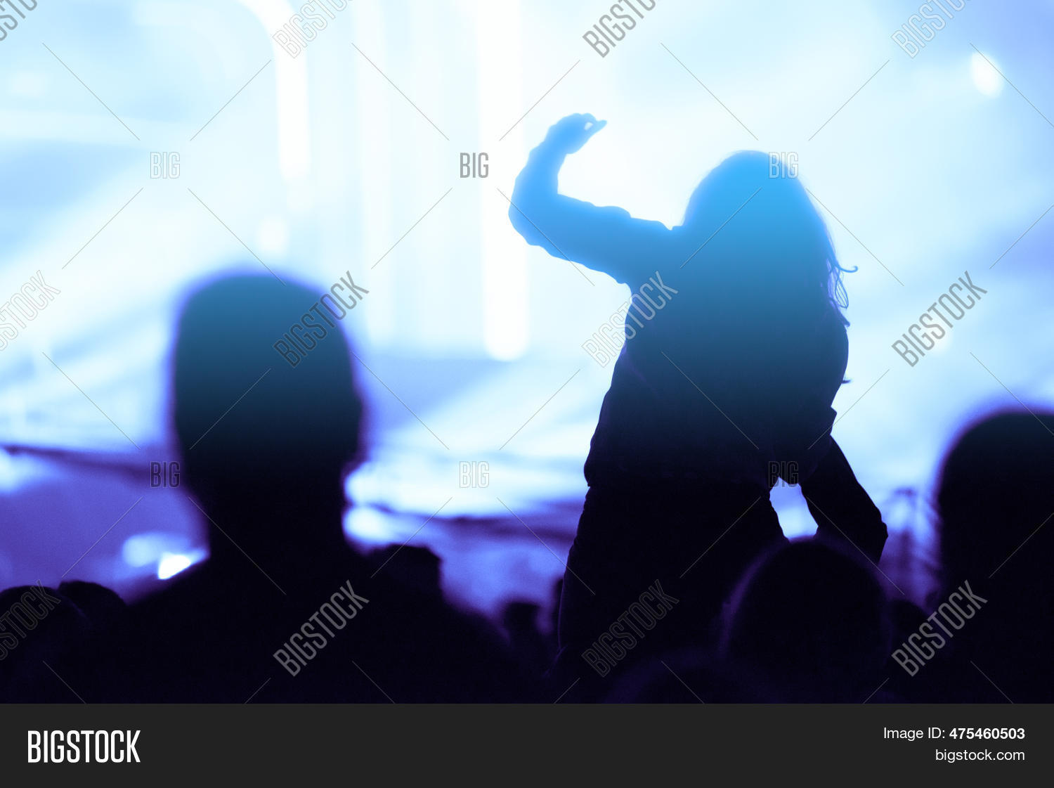 Rear View Crowd People Image & Photo (Free Trial) | Bigstock