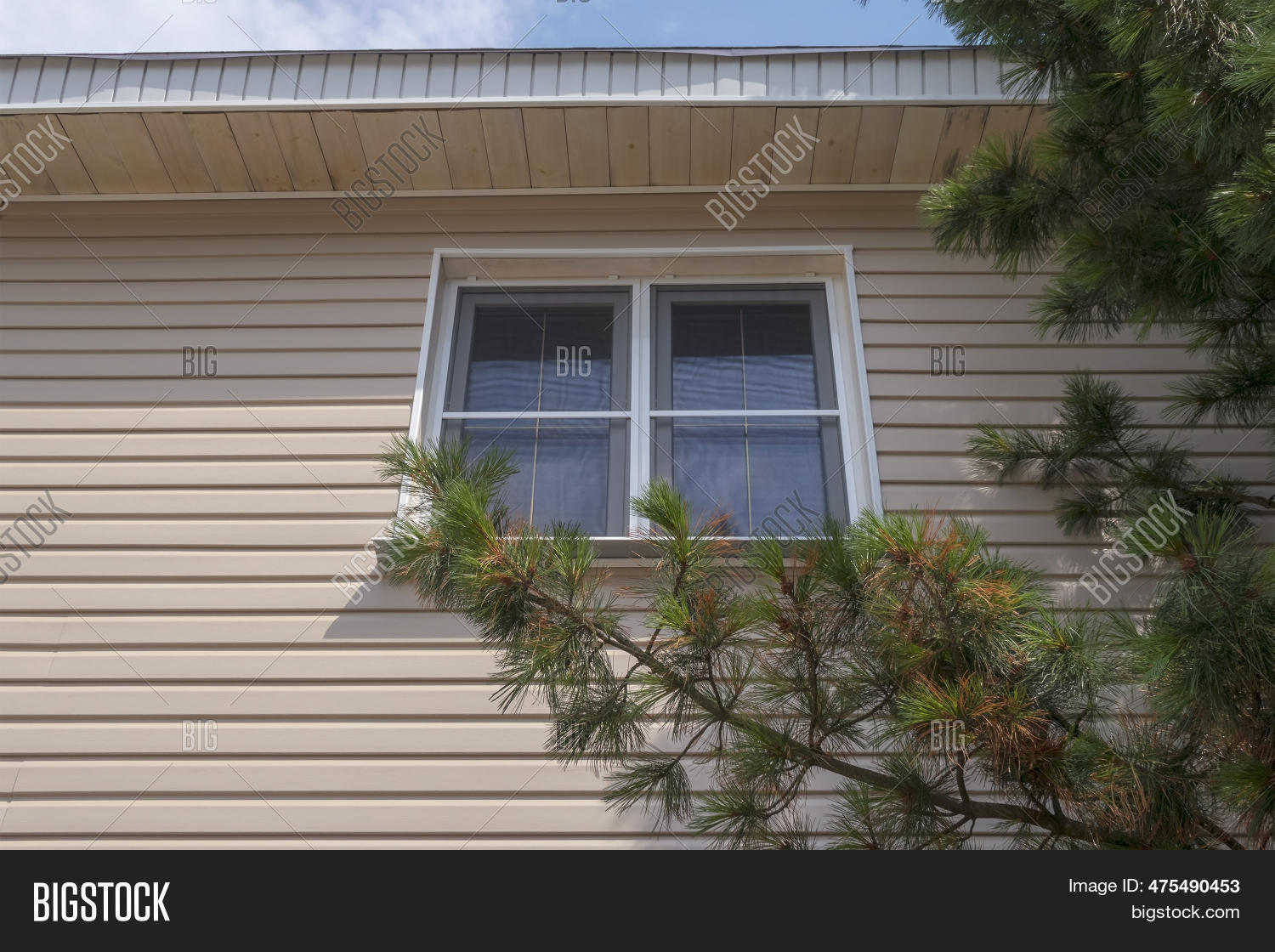 Window On Building Image & Photo (Free Trial) | Bigstock