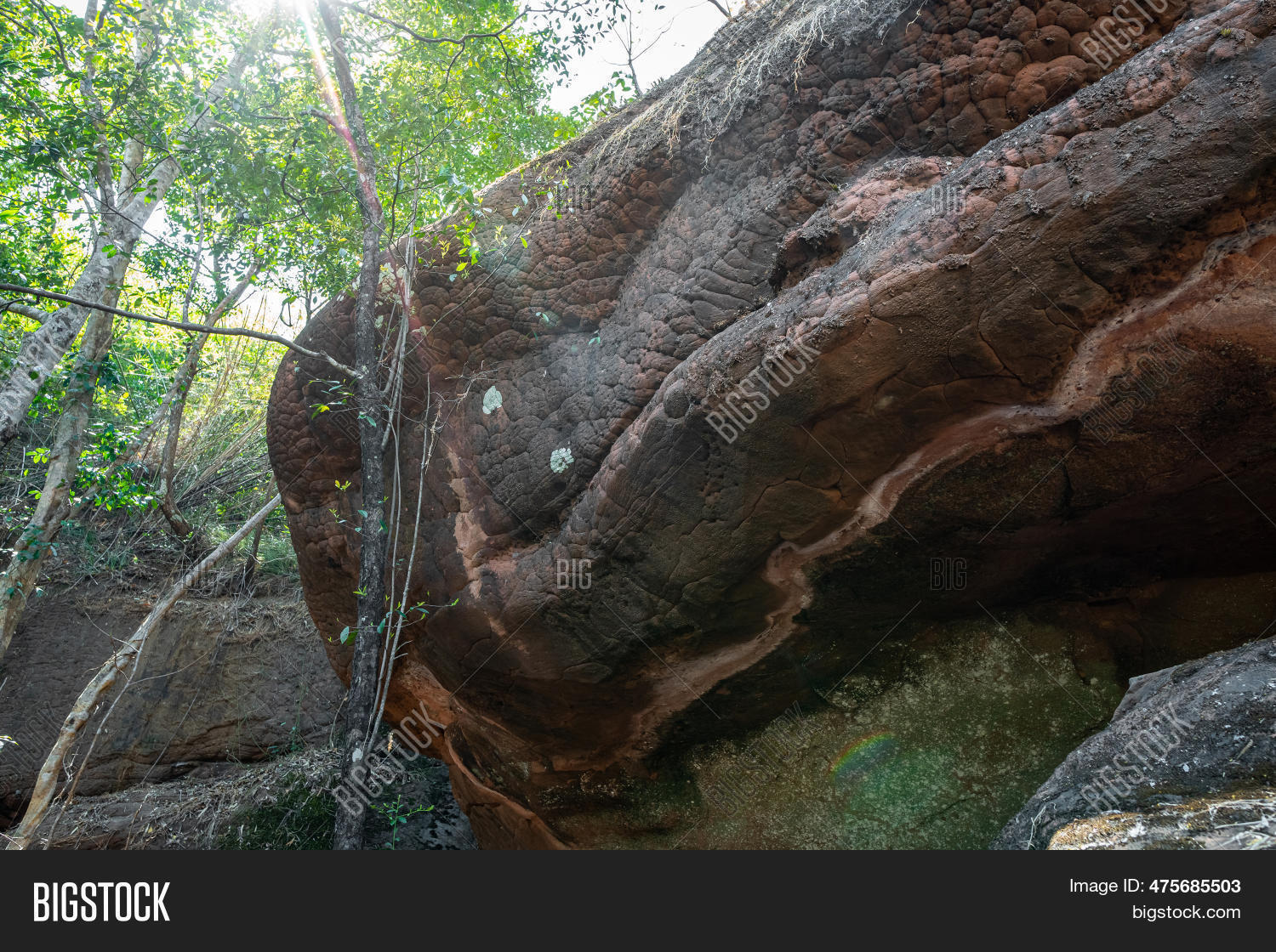 Naka Cave Giant Snake Image & Photo (Free Trial) | Bigstock