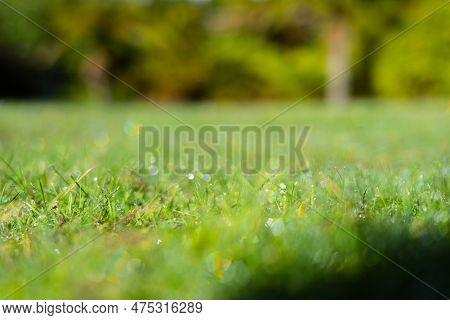 Ground Level View Image & Photo (Free Trial) | Bigstock