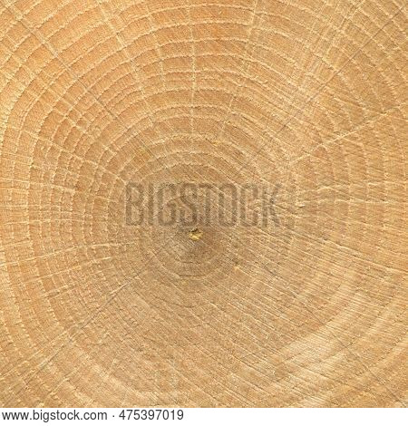 Wood Grain Texture, Image & Photo (Free Trial) | Bigstock