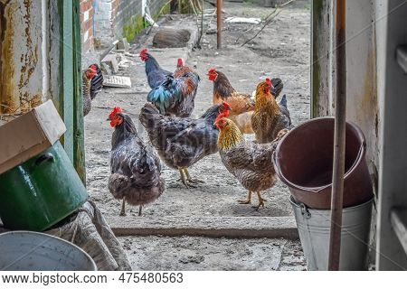 Buckets Pots Inside Image & Photo (Free Trial) | Bigstock