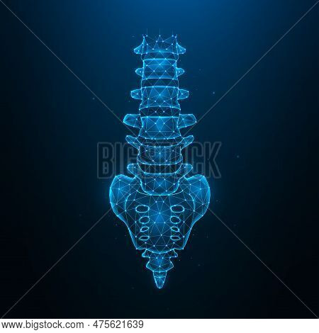 Polygonal Human Spine Vector & Photo (Free Trial) | Bigstock