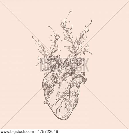 Abstract Vector Vector & Photo (Free Trial) | Bigstock