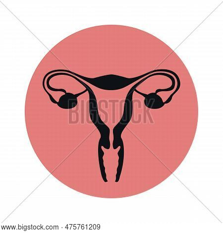 Female Reproductive Vector & Photo (Free Trial) | Bigstock