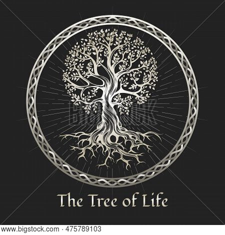 Tree Life Circle Vector & Photo (Free Trial) | Bigstock