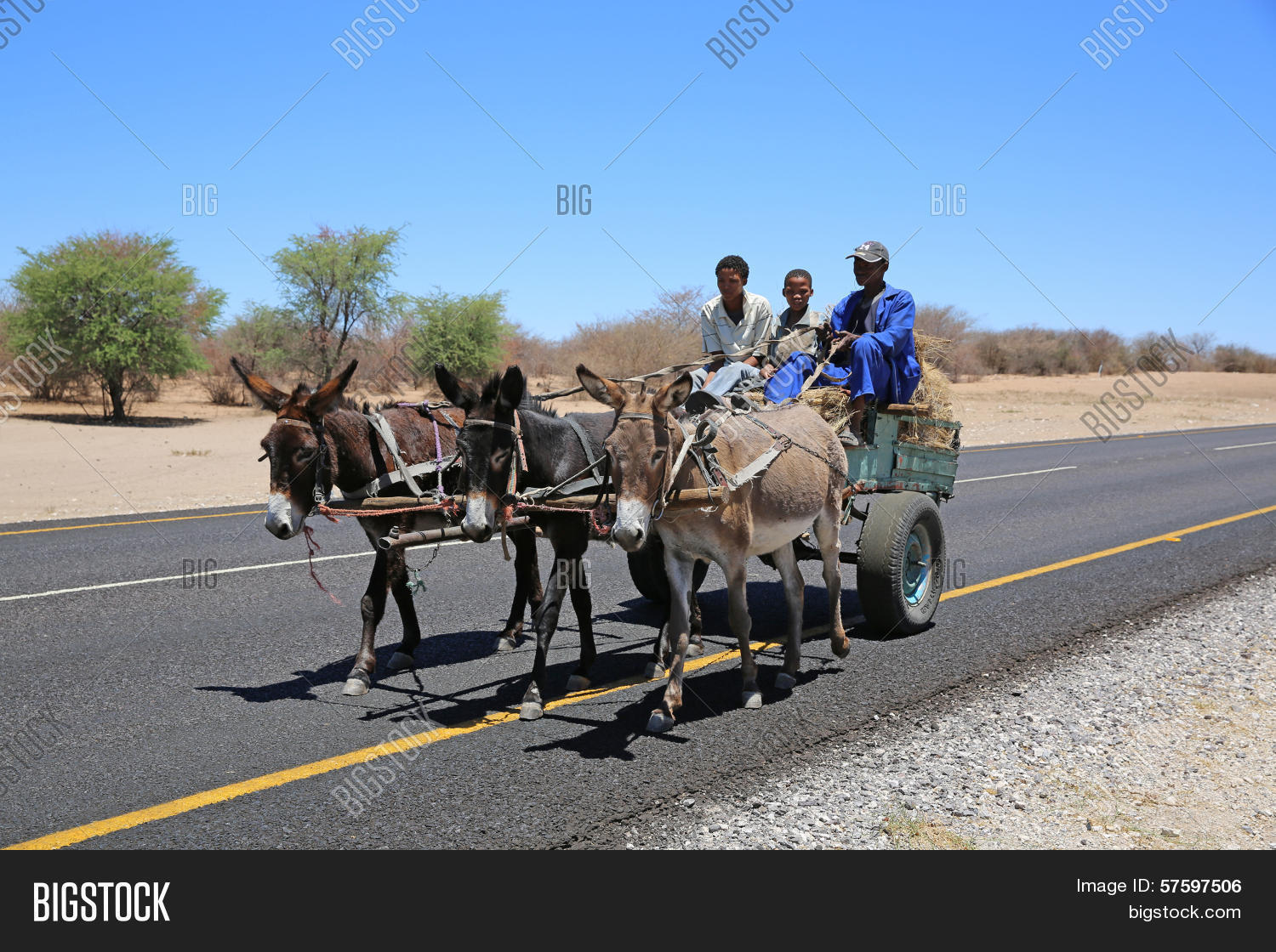 Donkey Cart Image & Photo (Free Trial) | Bigstock