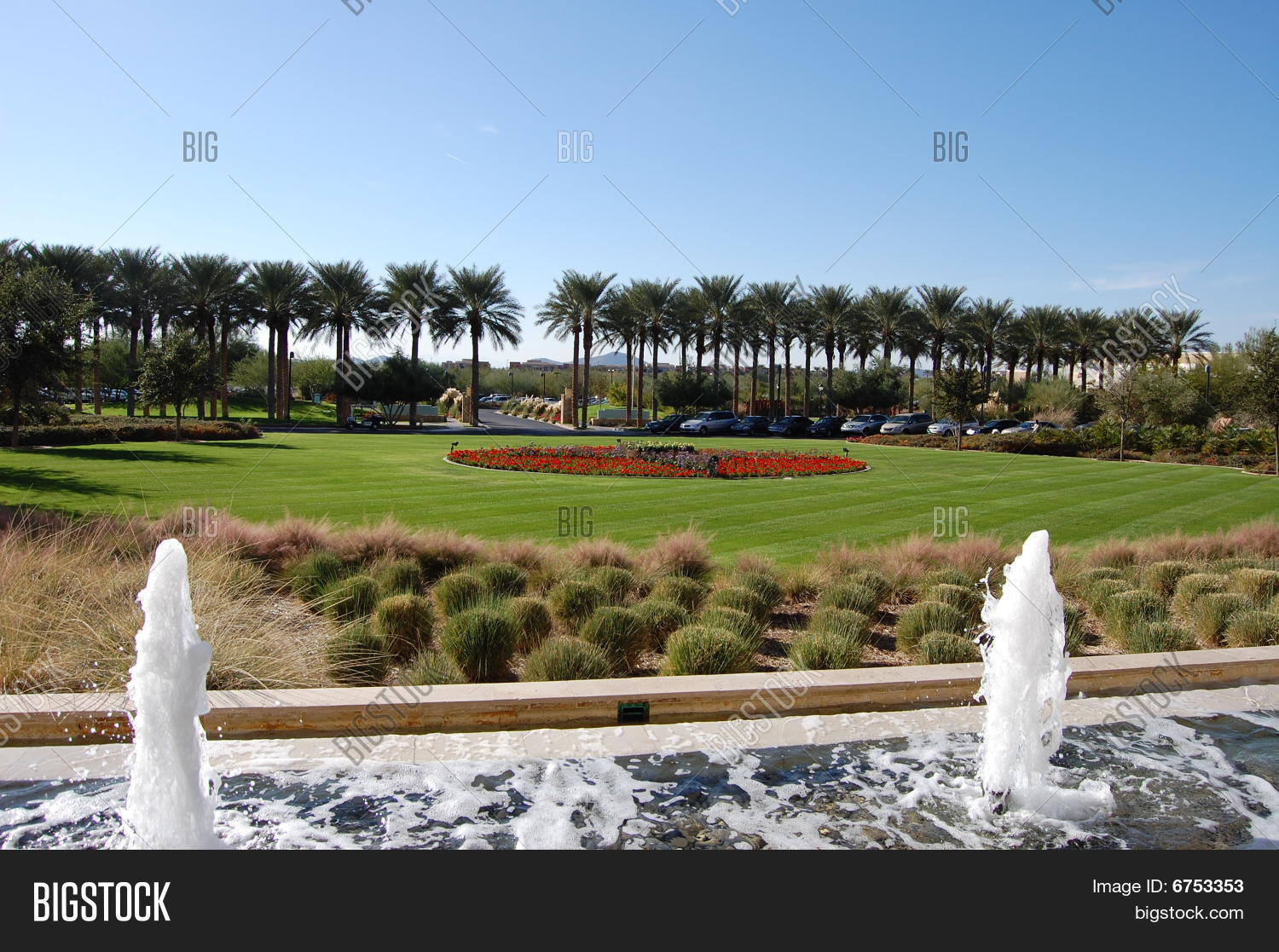 Palm Tree Setting Image & Photo (Free Trial) | Bigstock