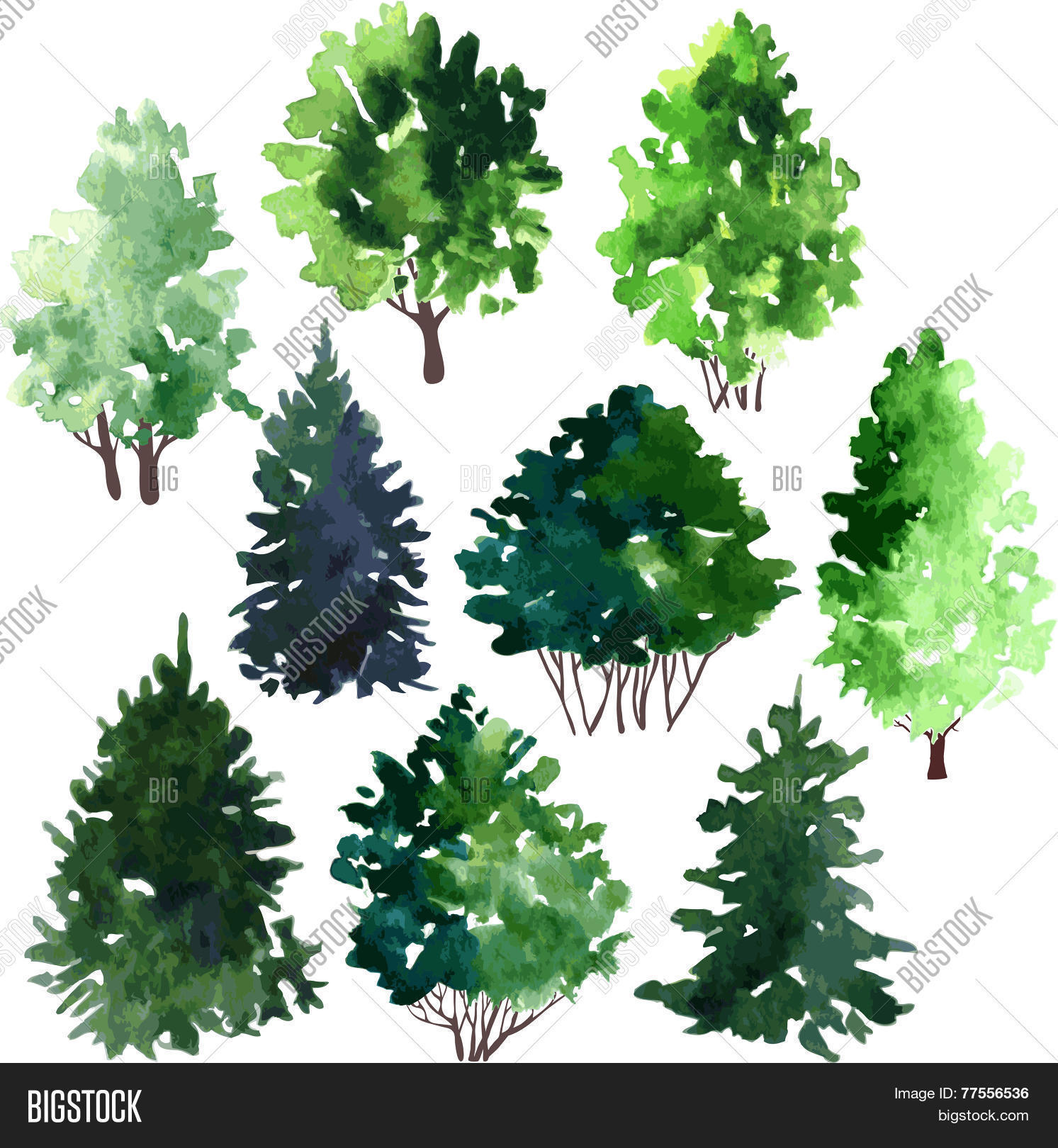 Set Trees Drawing By Vector & Photo (Free Trial) | Bigstock