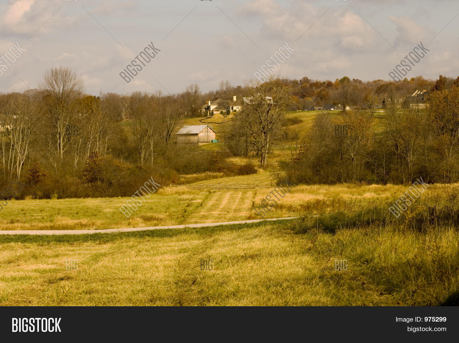 Beautiful Suburban Image & Photo (Free Trial) | Bigstock
