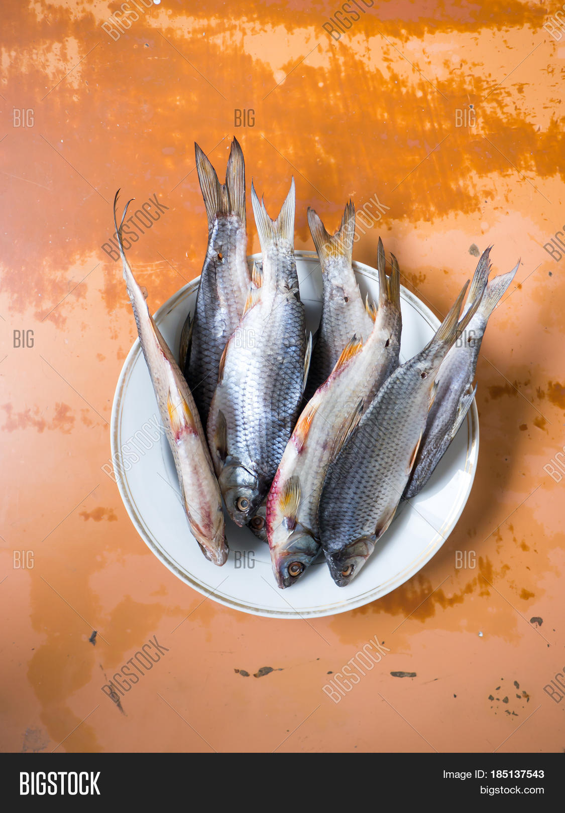 Dried Fish On Color Image & Photo (Free Trial) | Bigstock
