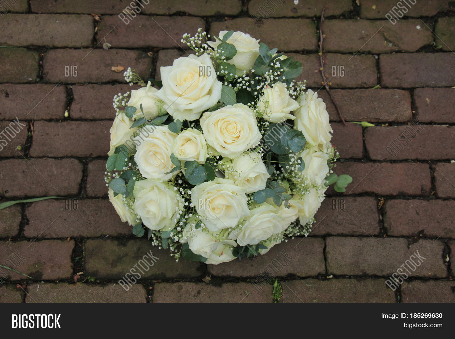White Roses Baby's- Image & Photo (Free Trial) | Bigstock
