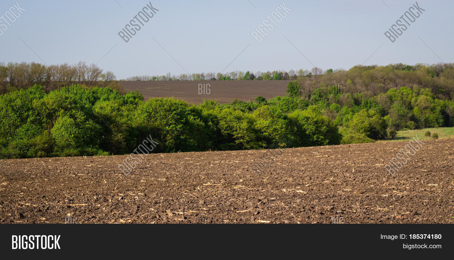 Between Broad Fields Image & Photo (Free Trial) | Bigstock