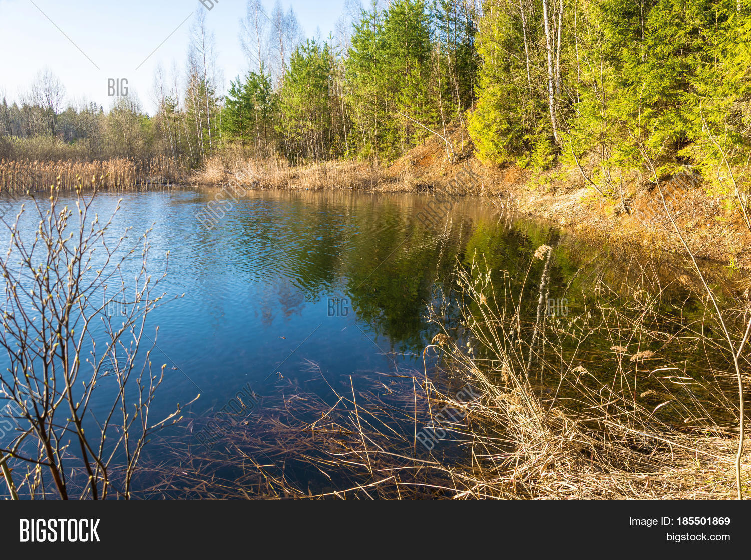 Small Forest Lake Image & Photo (Free Trial) | Bigstock